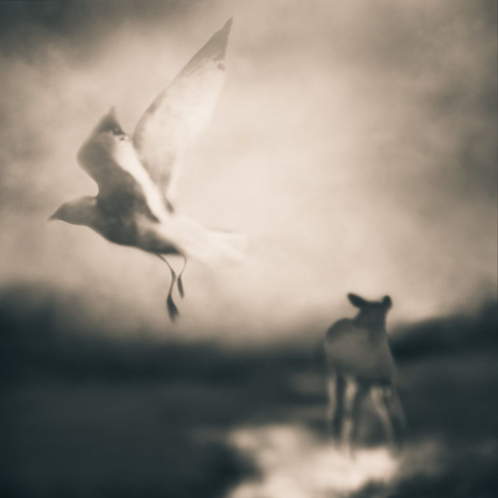 Conversation with artist Tami Bone. | Photo Encaustic with Clare O'Neill