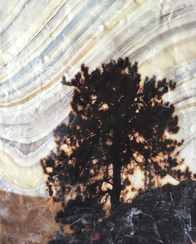 8 Creative and Easy Background Ideas for Photo Encaustics | Photo Encaustic